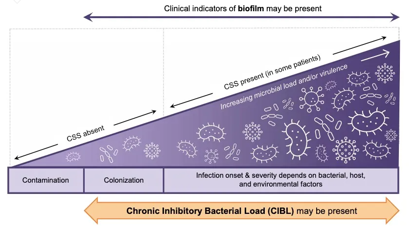 Chronic Inhibitory Bacterial Load